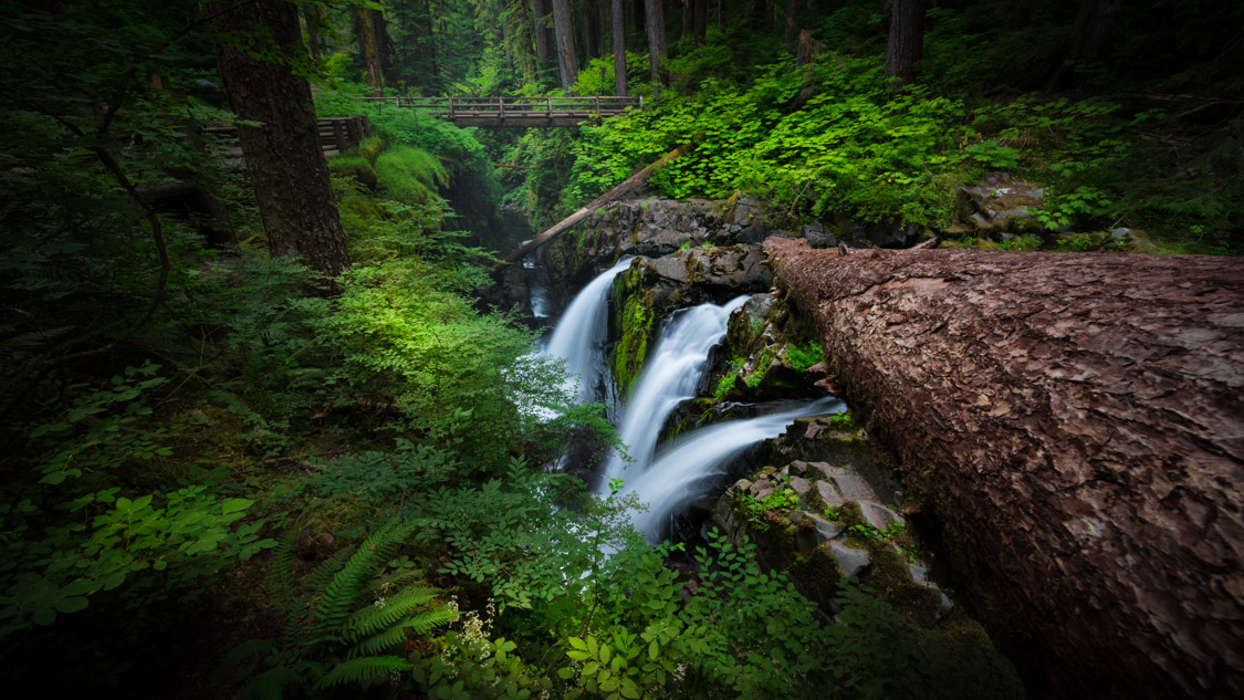'Cascadia' Landscape - Michael Bjorge Photography