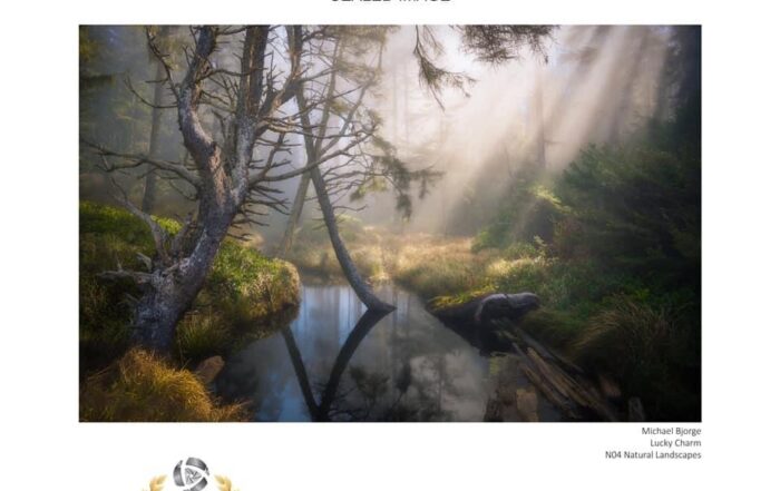 Latest news and updates from Michael Bjorge Fine Art