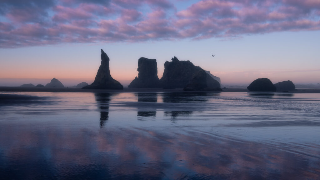 The Wizard of Bandon, Oregon Coast Fine Art Photography Prints